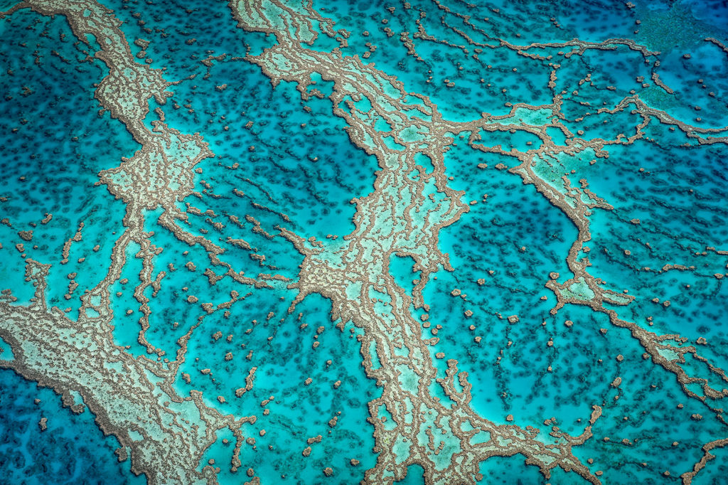 Reef Textures - | Fine Art Landscape Photography