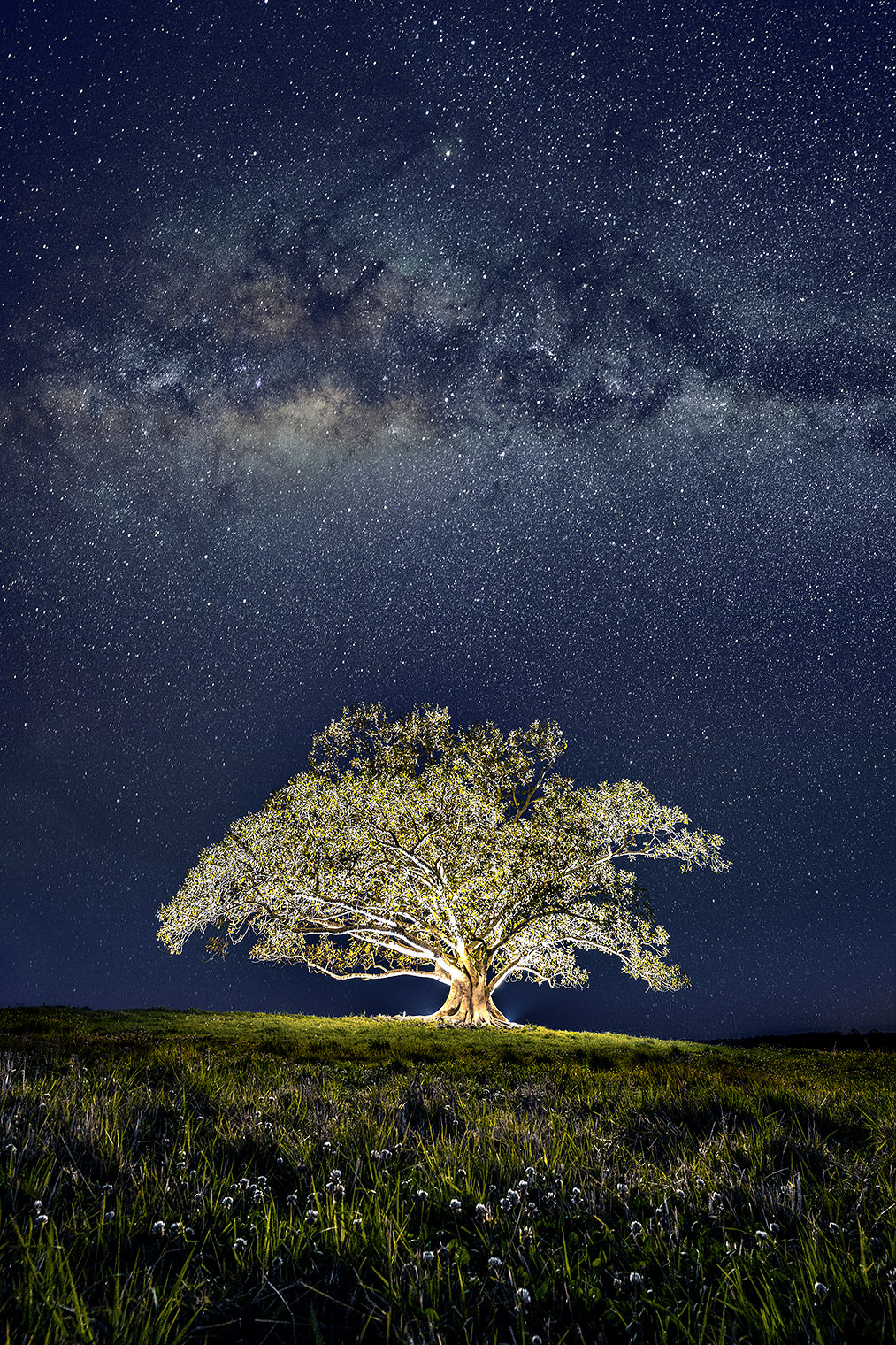 The Wishing Tree ii - | Fine Art Landscape Photography