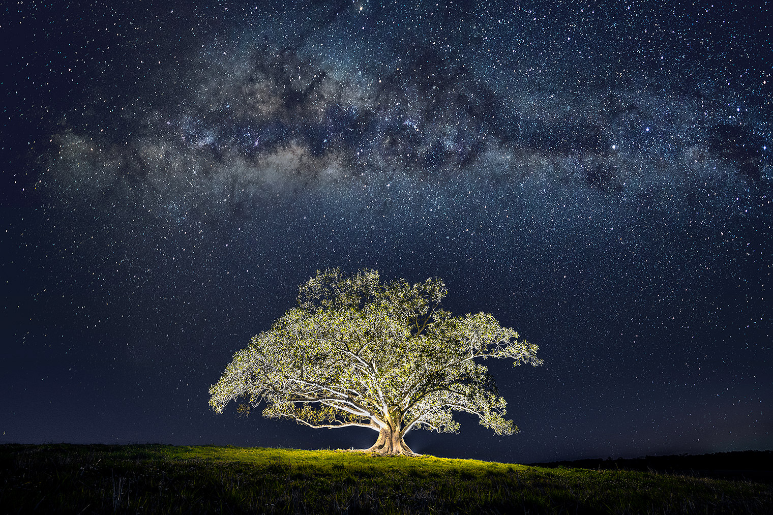 The Wishing Tree - | Fine Art Landscape Photography